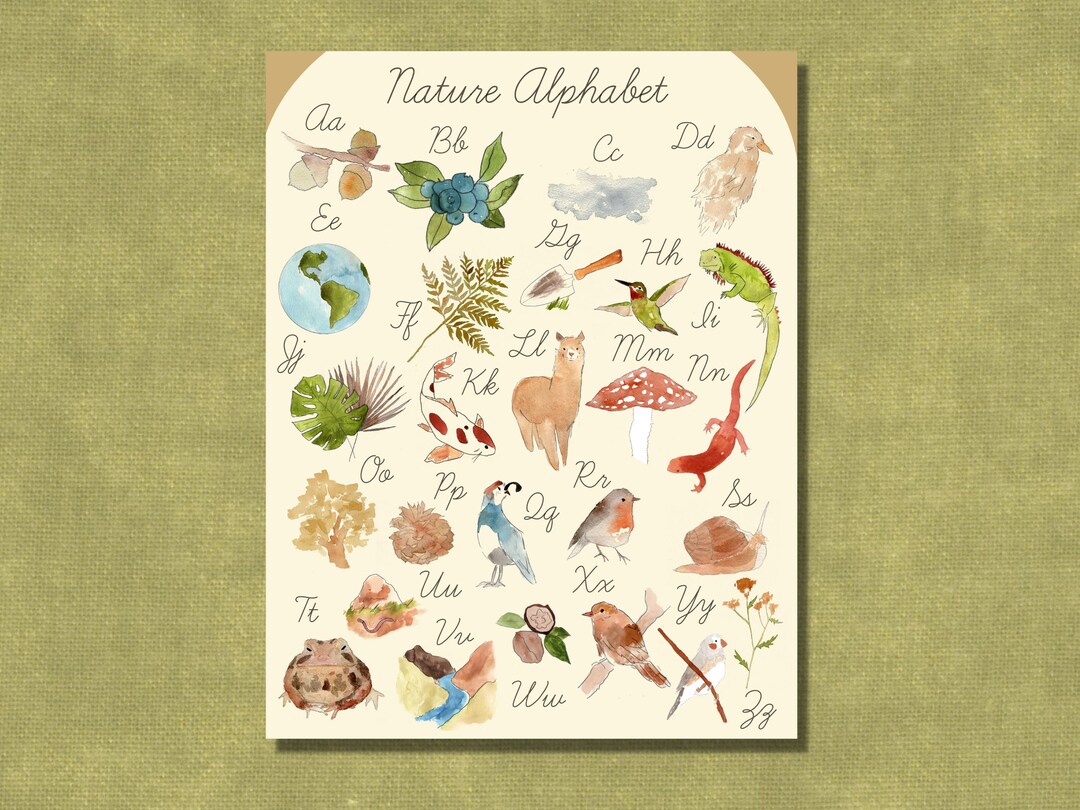Cursive Alphabet Poster - Nature Watercolor Illustrations - ABC Print ...