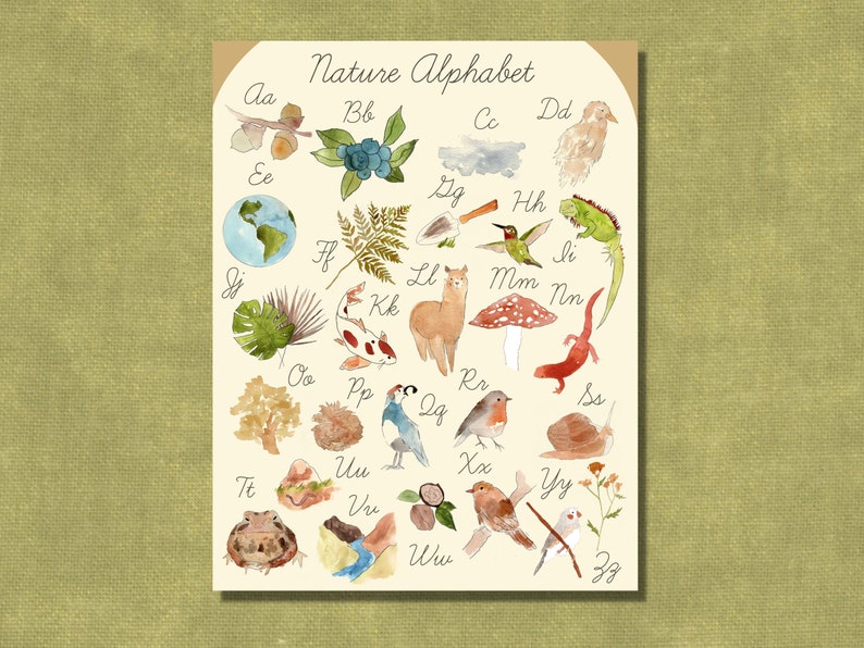Cursive Alphabet Poster Nature Watercolor Illustrations - Etsy