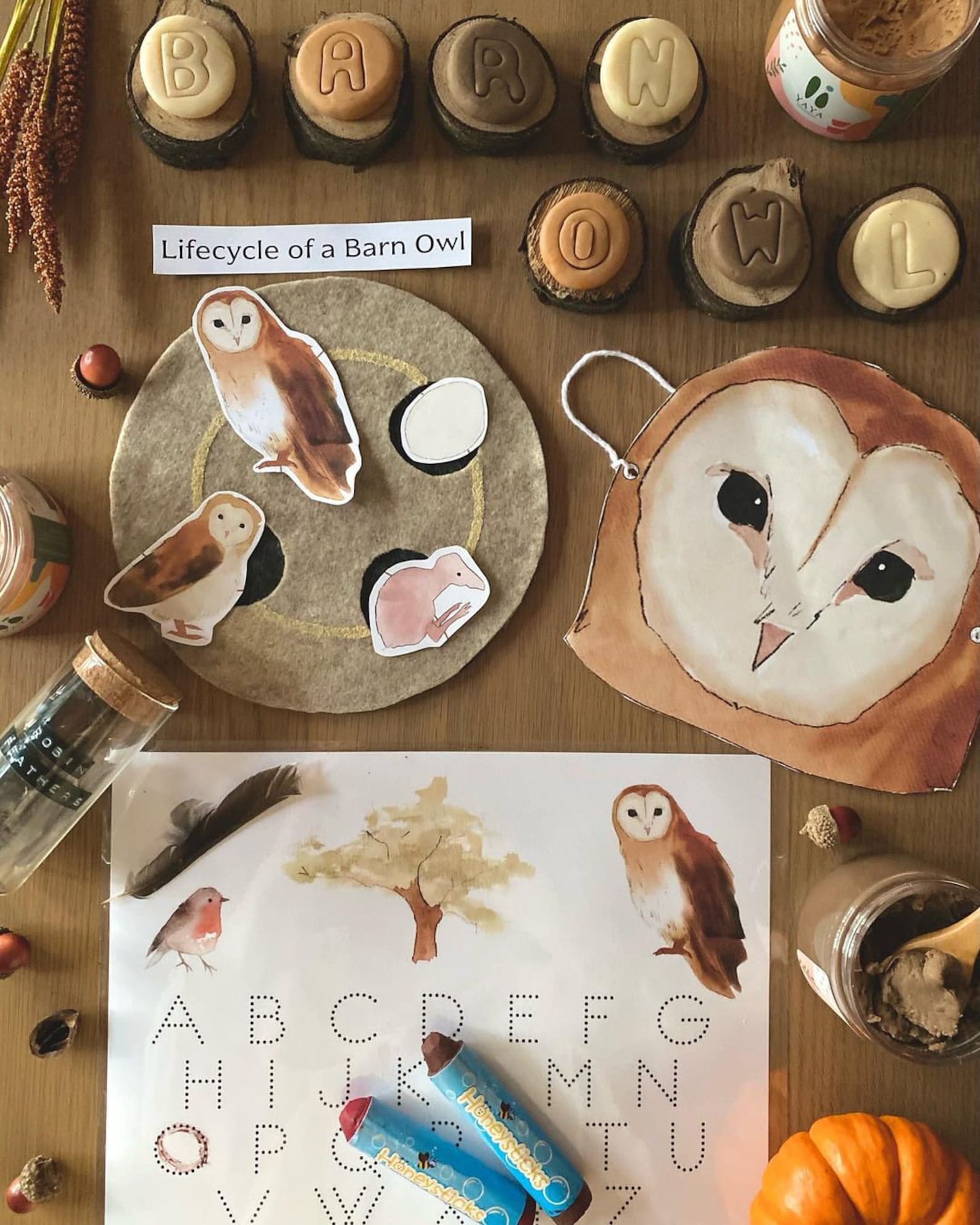 Barn Owl Study - Nature Homeschool Curriculum - Printable Nature Unit ...