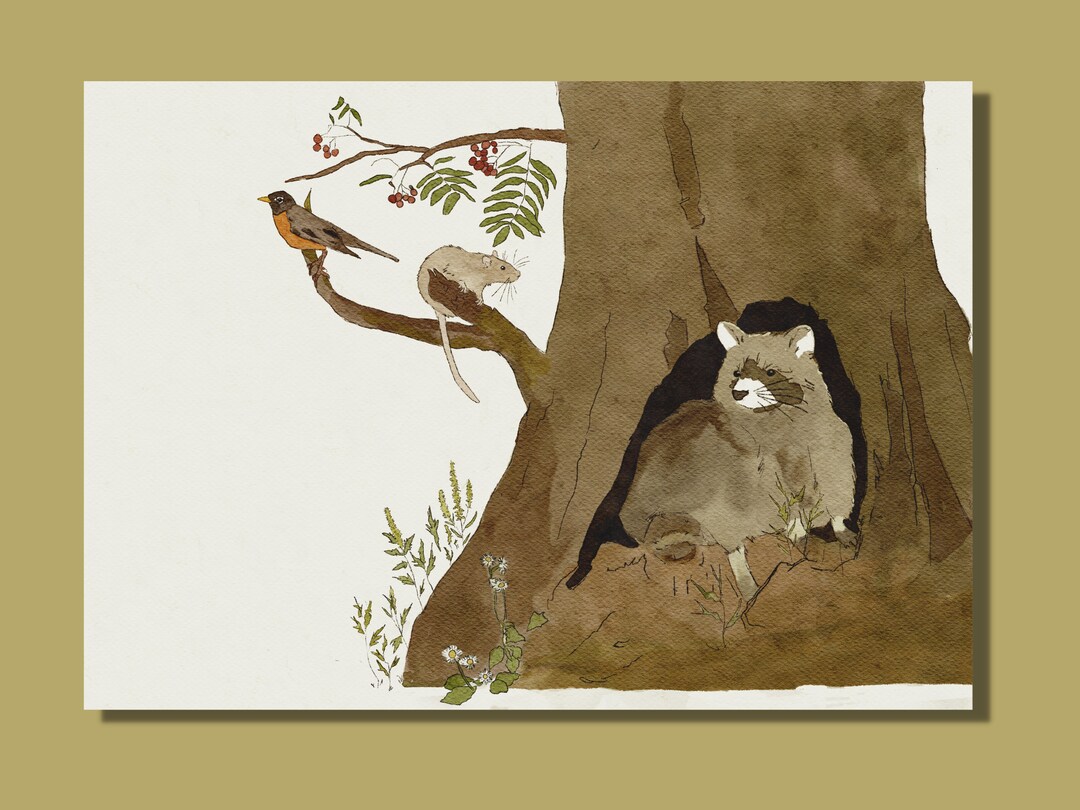 Raccoon Watercolor Art Print - Digital Download Printable Poster ...