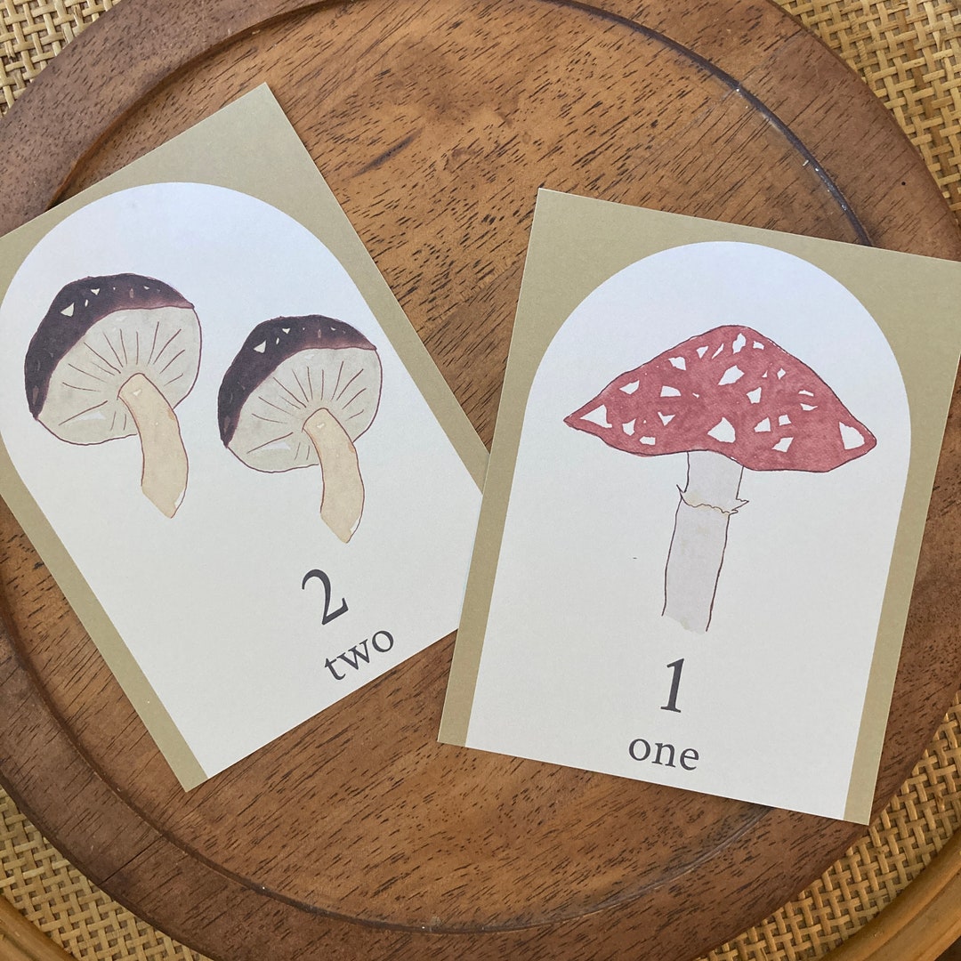 Mushroom Number Cards - Mushroom Unit Study - Nature Preschool ...