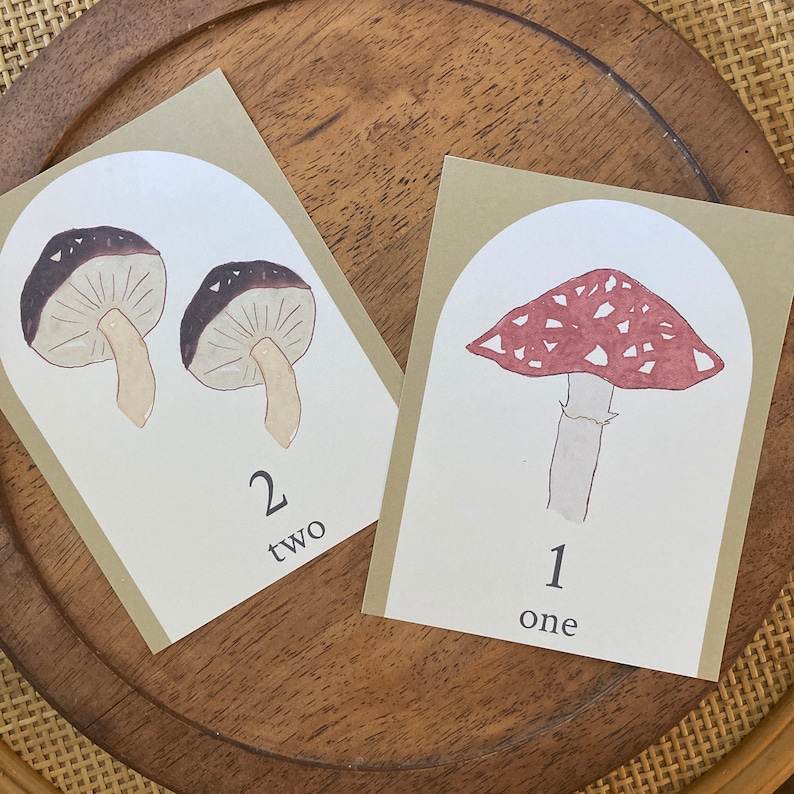 Mushroom Number Cards - Mushroom Unit Study - Nature Preschool ...