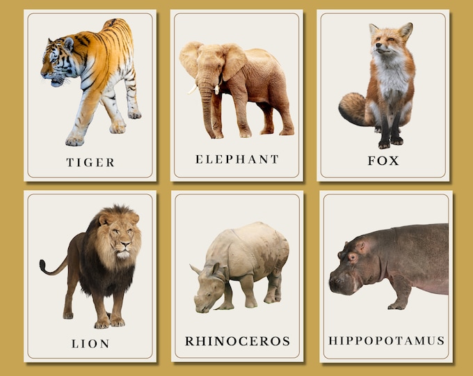 Tarjetas de animales del zoológico imprimibles para niños inglés ...
