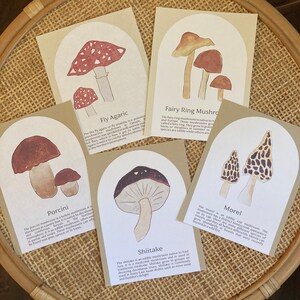Mushroom Unit Study Bundle - Watercolor Nature Education Printables - Etsy