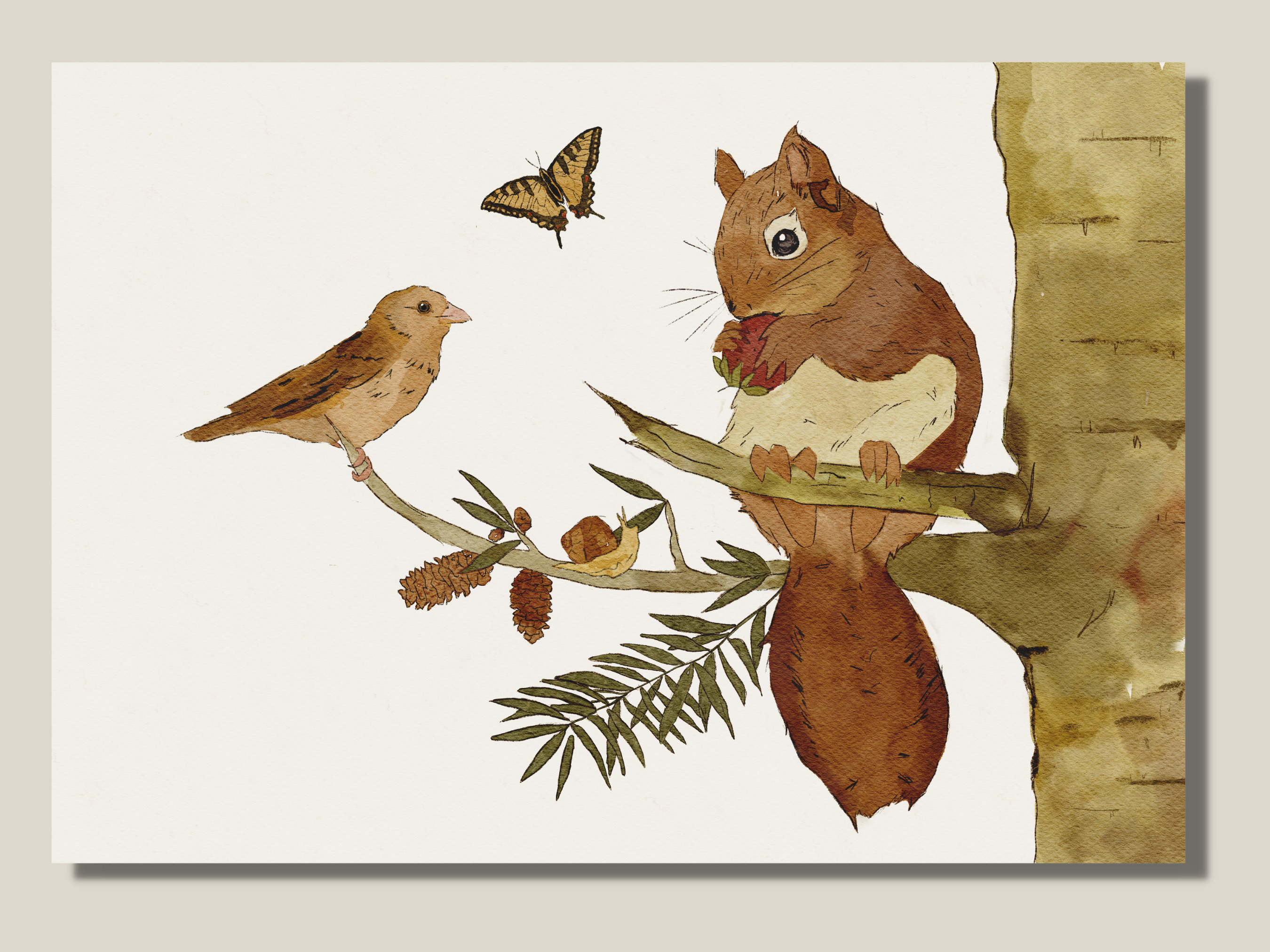 Squirrel, Snail, Sparrow, Swallowtail Butterfly on a Spruce Tree Print ...