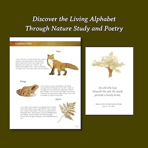 Alphabet Forest: Nature Based Early Learning Reading and Phonics ...