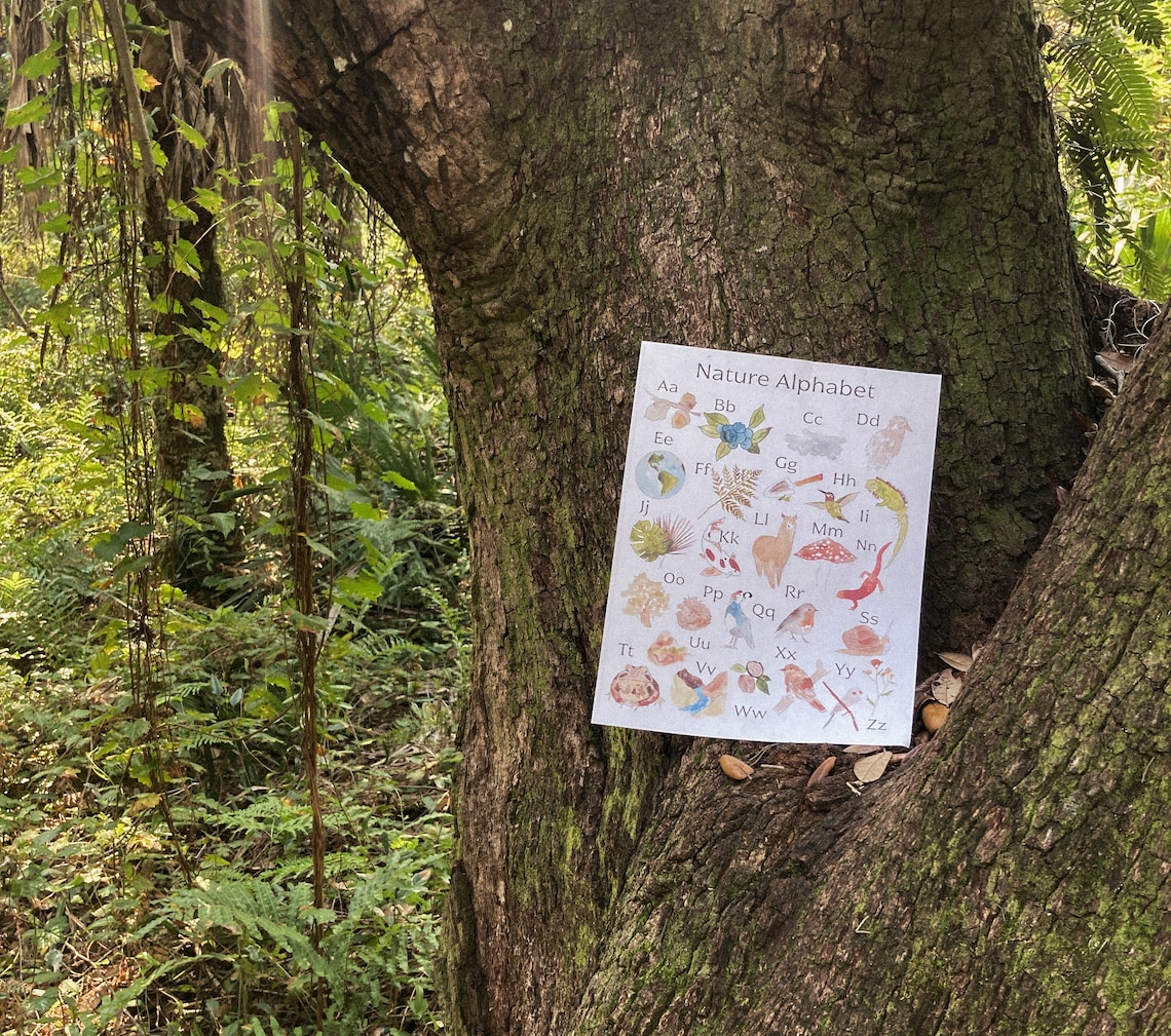 Nature ABC Poster - Nature Alphabet Preschool Printable Poster ...