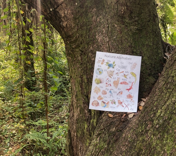 Nature ABC Poster Nature Alphabet Preschool Printable Poster - Etsy