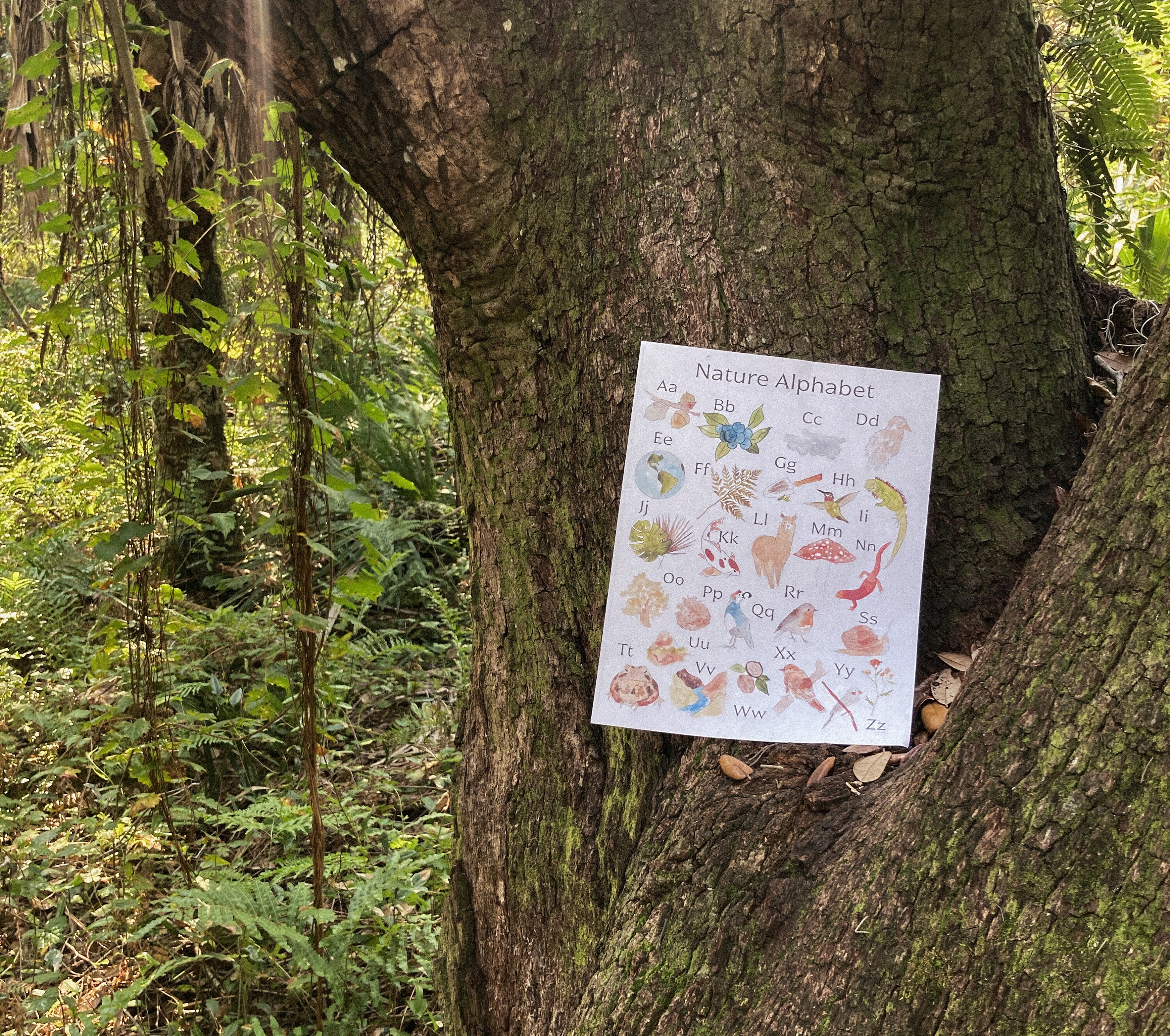 Nature ABC Poster - Nature Alphabet Preschool Printable Poster ...