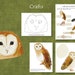 Barn Owl Study Nature Homeschool Curriculum Printable Nature Unit Study ...