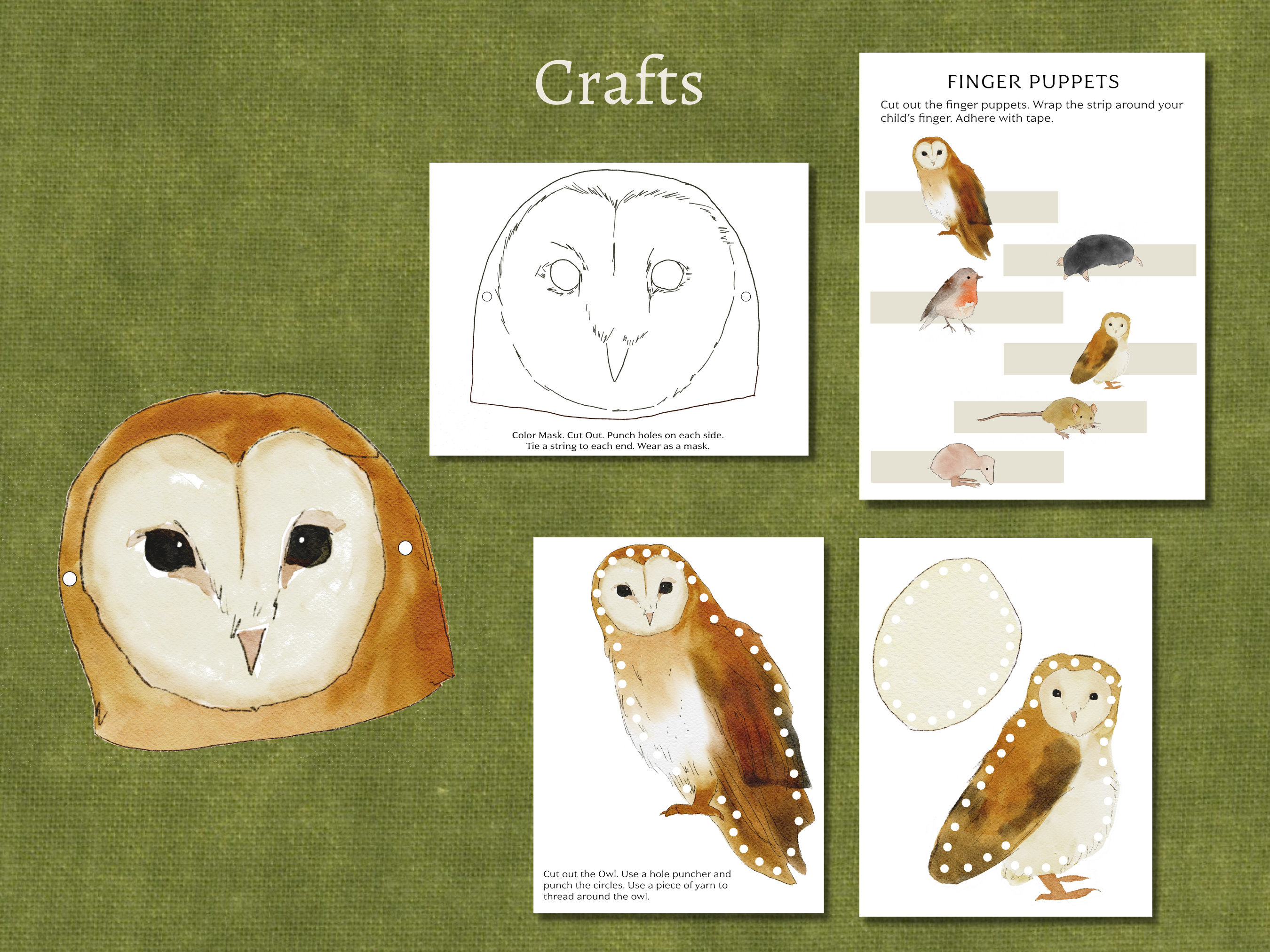 Barn Owl Study Nature Homeschool Curriculum Printable Nature Unit Study ...