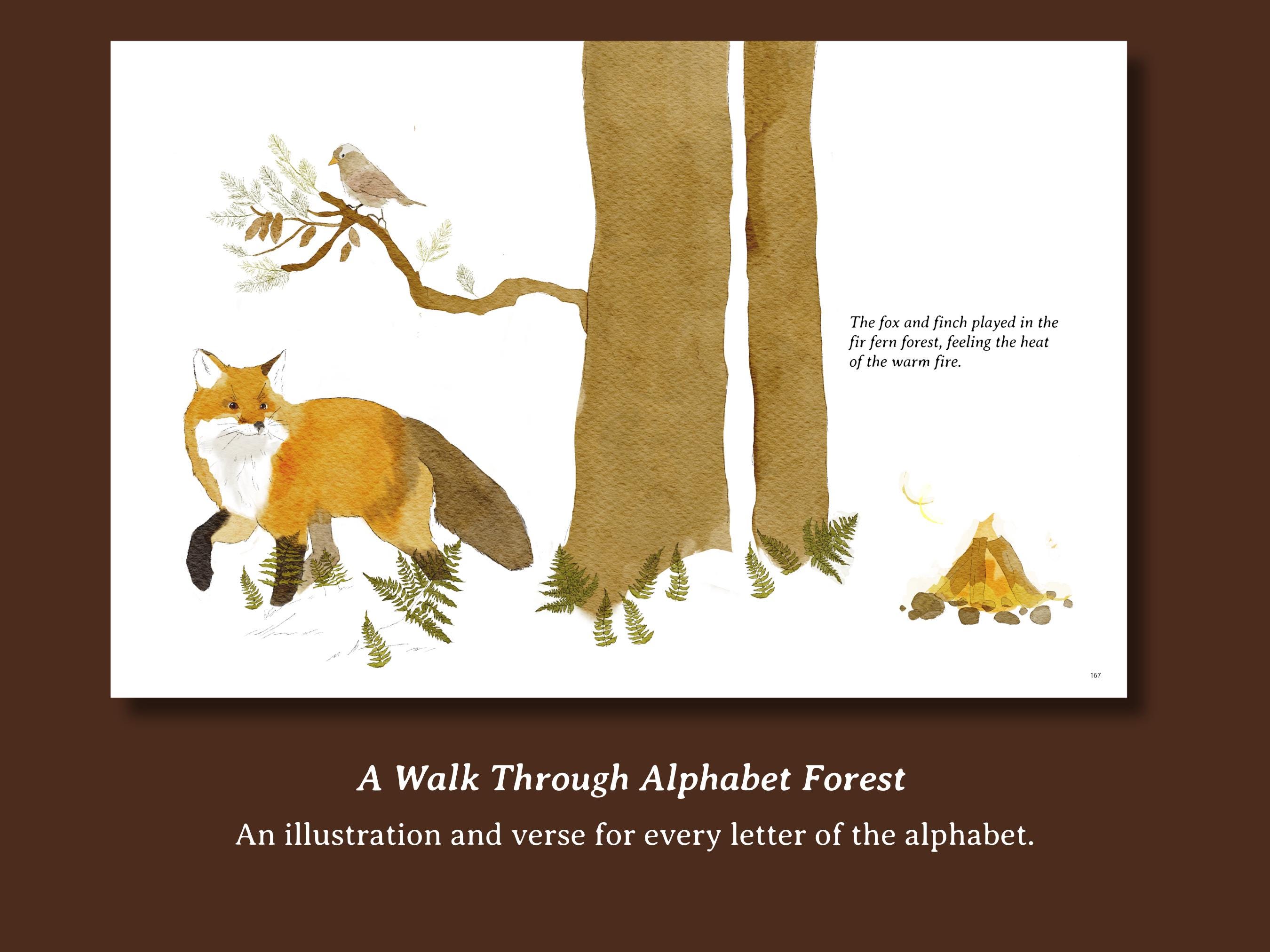 The Complete Alphabet Forest Collection - Nature-based Early Learning ...