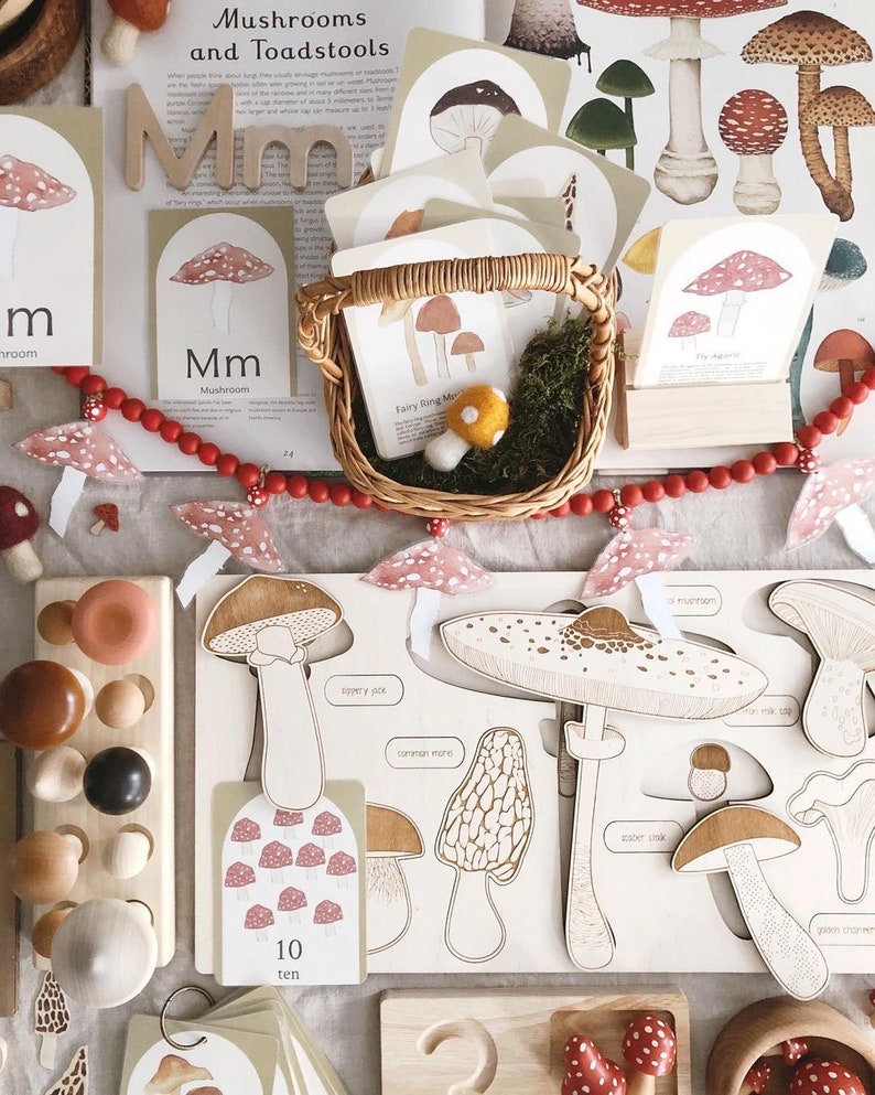 Mushroom Unit Study Bundle Watercolor Nature Education - Etsy