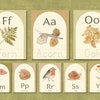 Nature Alphabet Flash Cards I Nature Homeschool Printables I ABC Cards ...