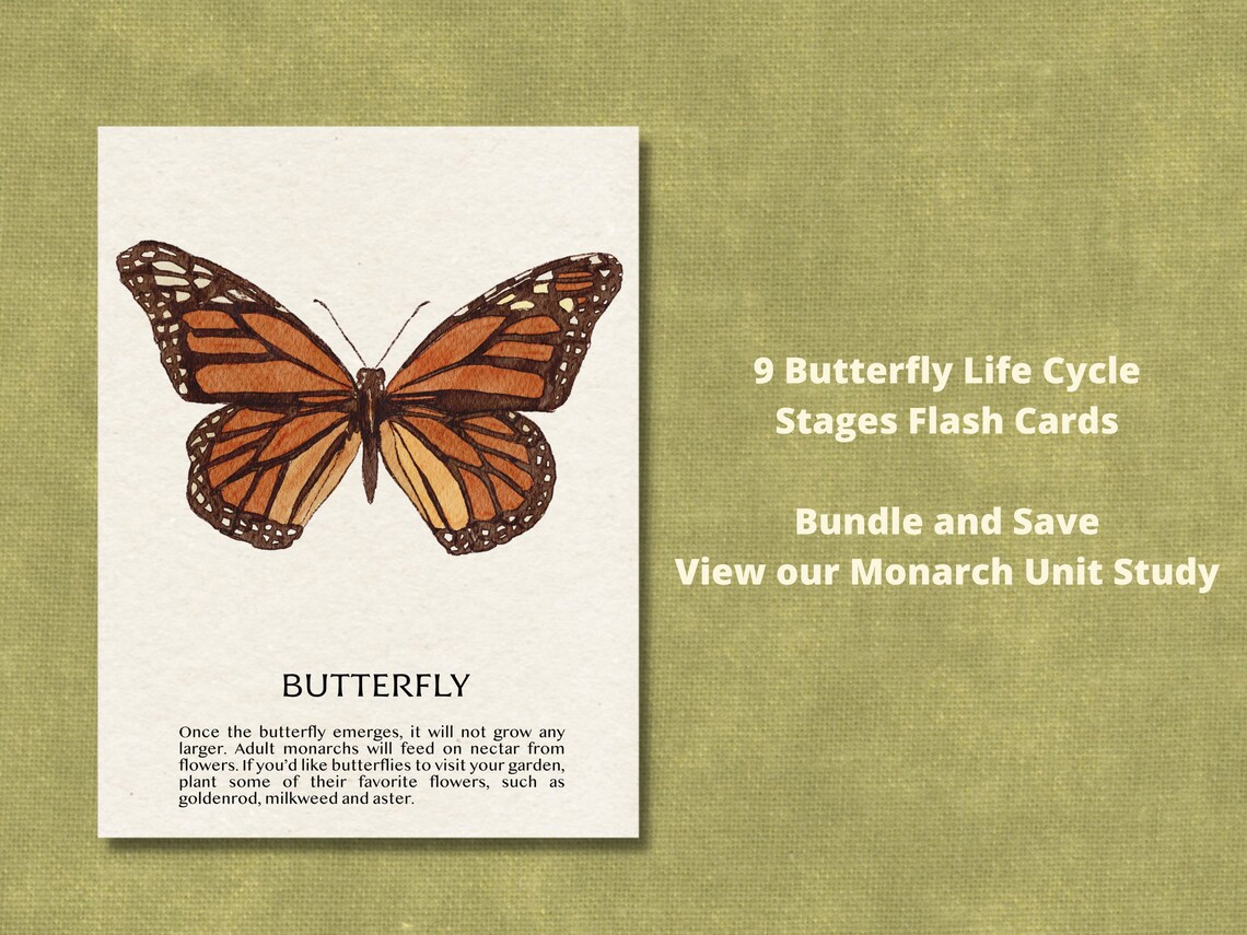Butterfly Life Cycle Flash Cards Lifecycle of a Monarch Printable - Etsy