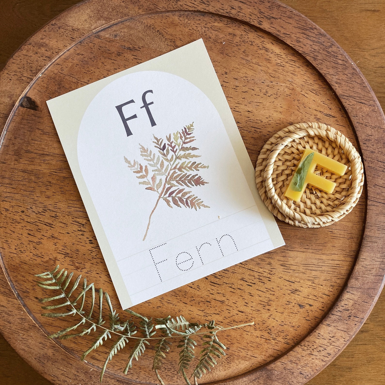 Nature Alphabet Bundle Preschool Literacy Nature Education - Etsy