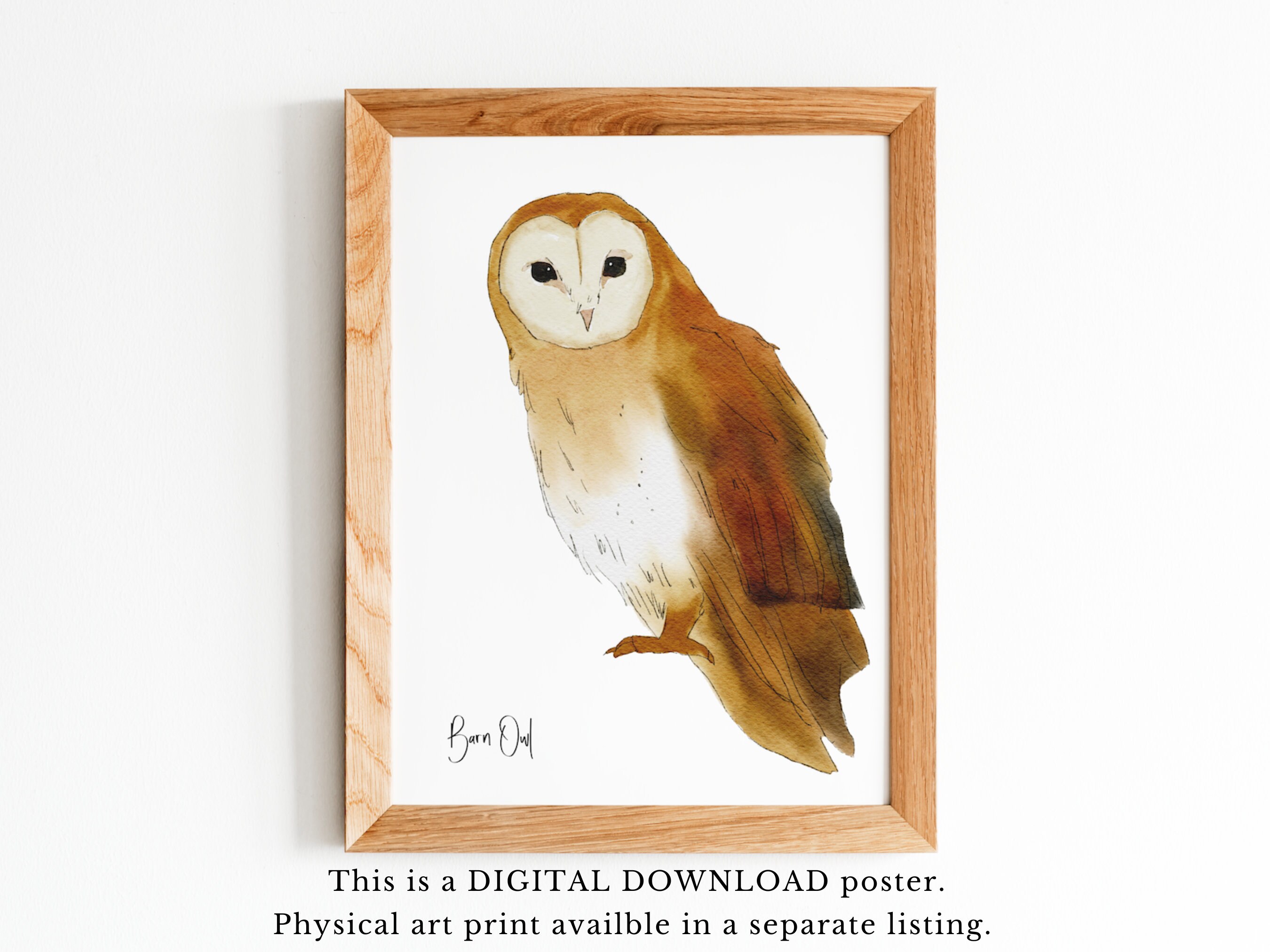 Barn Owl Digital Poster Nature Watercolor Illustration Poster Classroom ...
