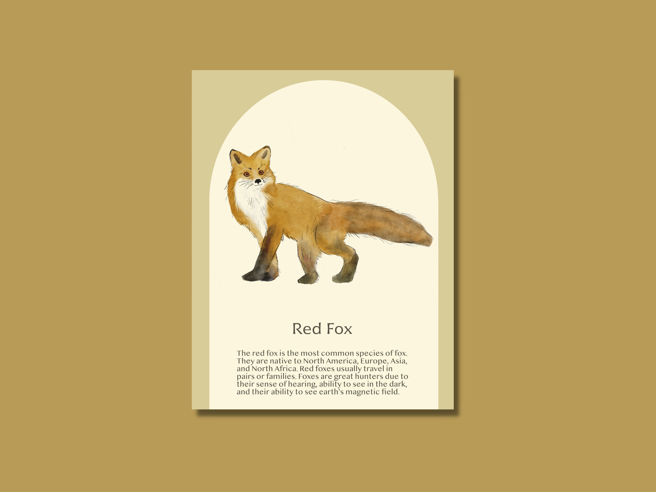 Fox Flash Cards - Fox Unit Study - Nature Education Printables ...