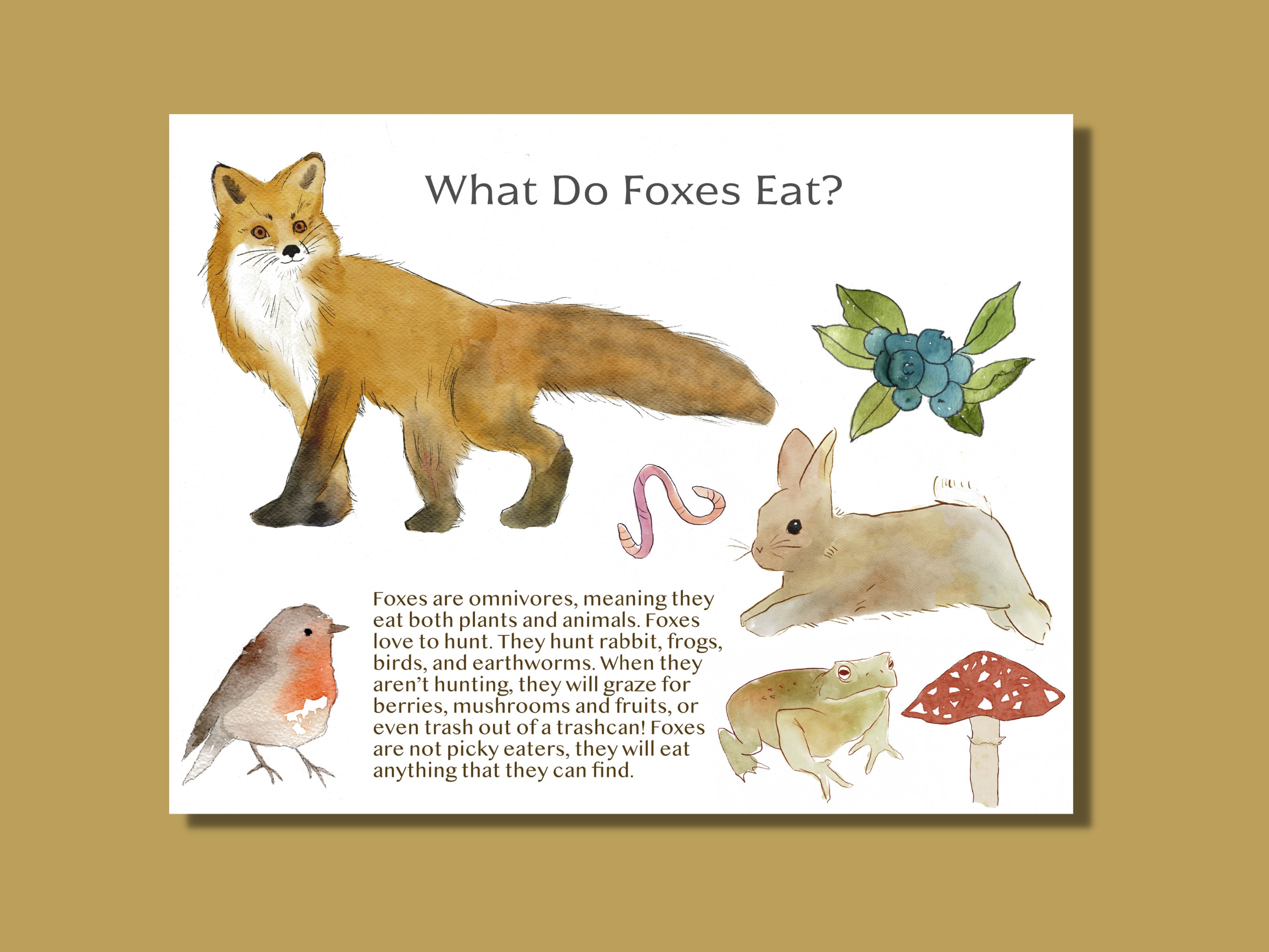 Fox Worksheet - "what Do Foxes Eat?" - Watercolor Nature Education ...