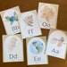 Nature Alphabet Flash Cards I Nature Homeschool Printables I ABC Cards ...