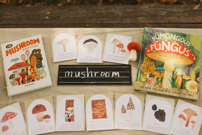 Mushroom Identification Flash Cards - Watercolor Mushroom Species ...