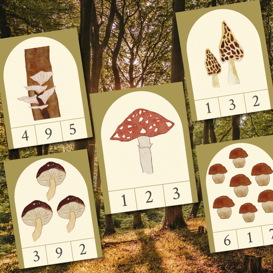 Mushroom Clip Number Cards - Mushroom Unit Study - Preschool Number ...
