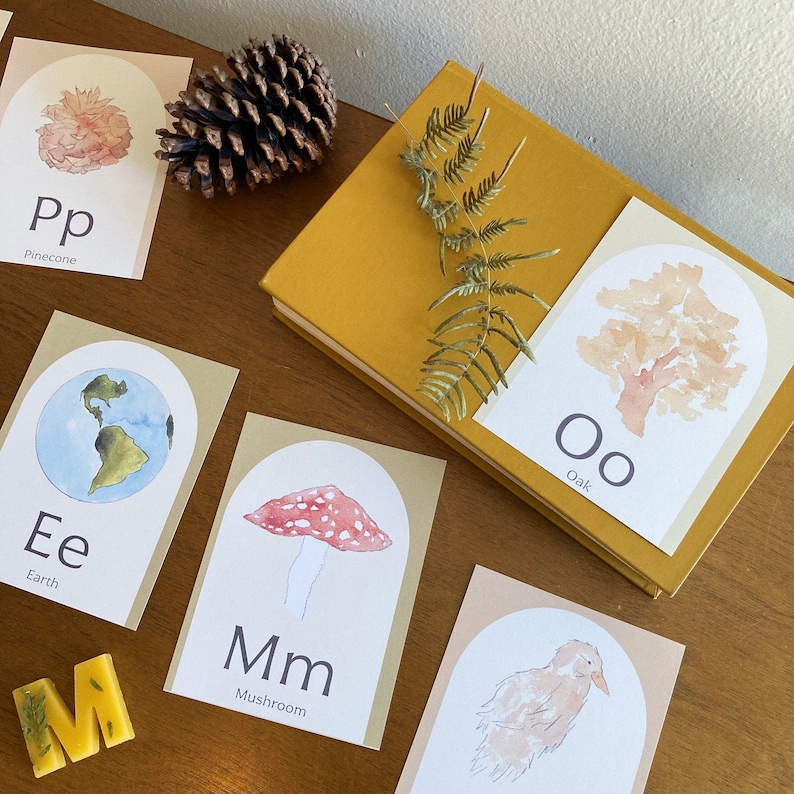 Nature Alphabet Flash Cards I Nature Homeschool Printables I - Etsy