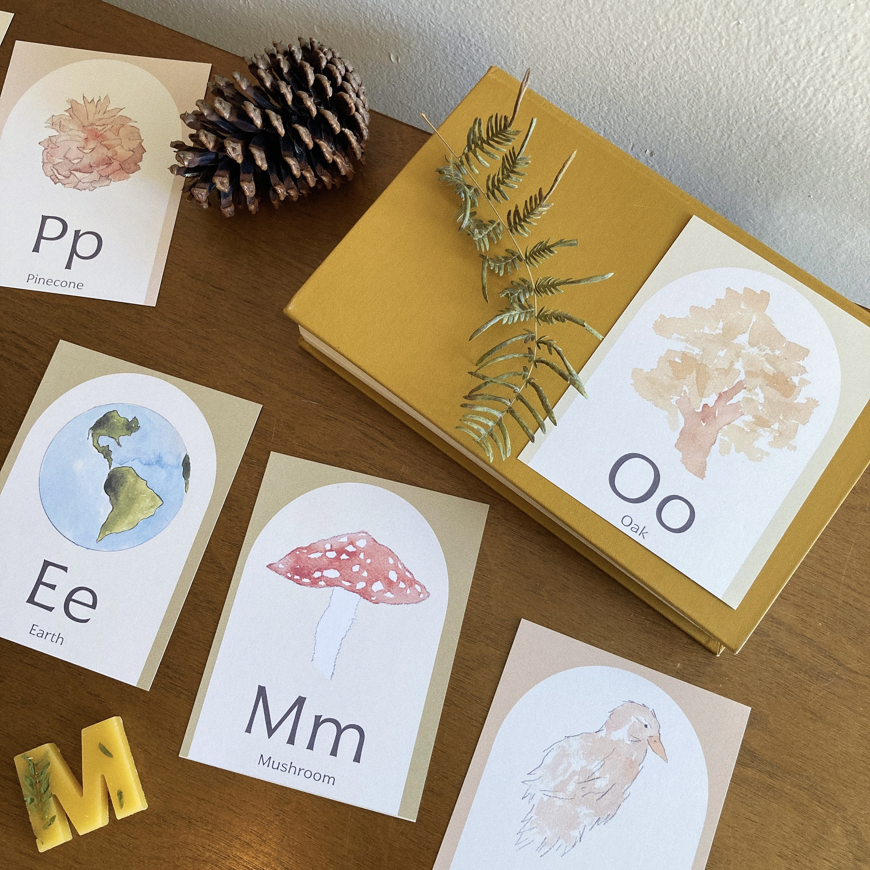 Nature Alphabet Flash Cards I Nature Homeschool Printables I ABC Cards ...