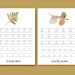 Nature Alphabet Flash Cards I Nature Homeschool Printables I ABC Cards ...