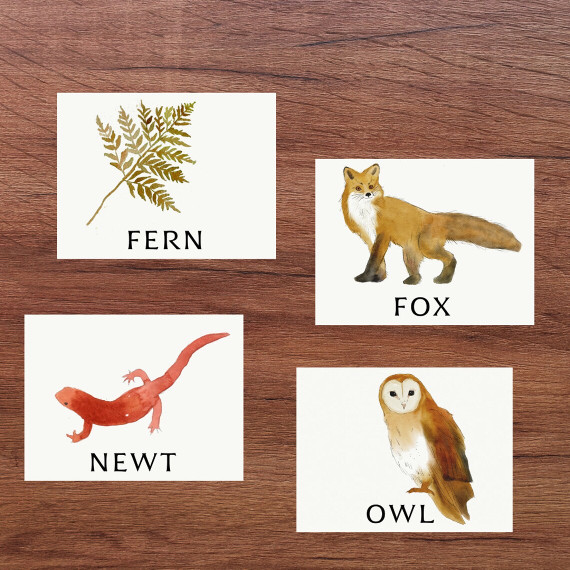 Nature Spelling Flash Cards Preschool Educational Resources - Etsy