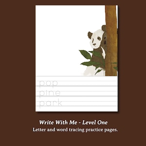 The Complete Alphabet Forest Collection - Nature-based Early Learning ...
