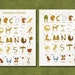 Waldorf Alphabet Poster - Alphabet Forest Curriculum - Waldorf ...