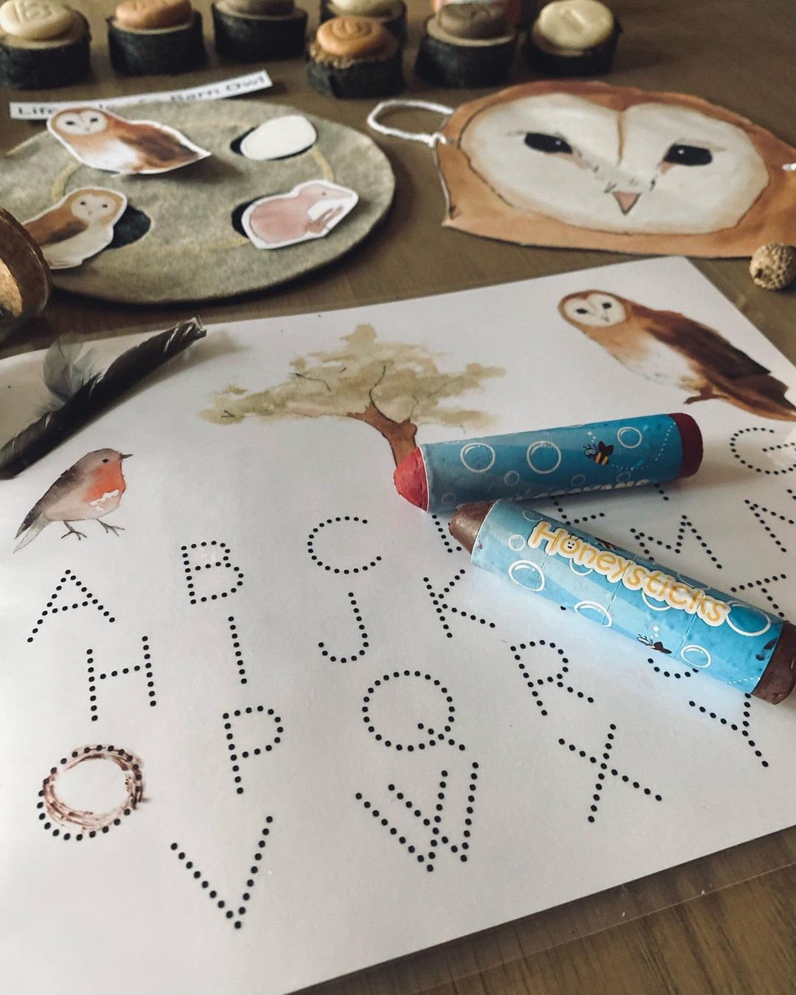 Barn Owl Study - Nature Homeschool Curriculum - Printable Nature Unit ...