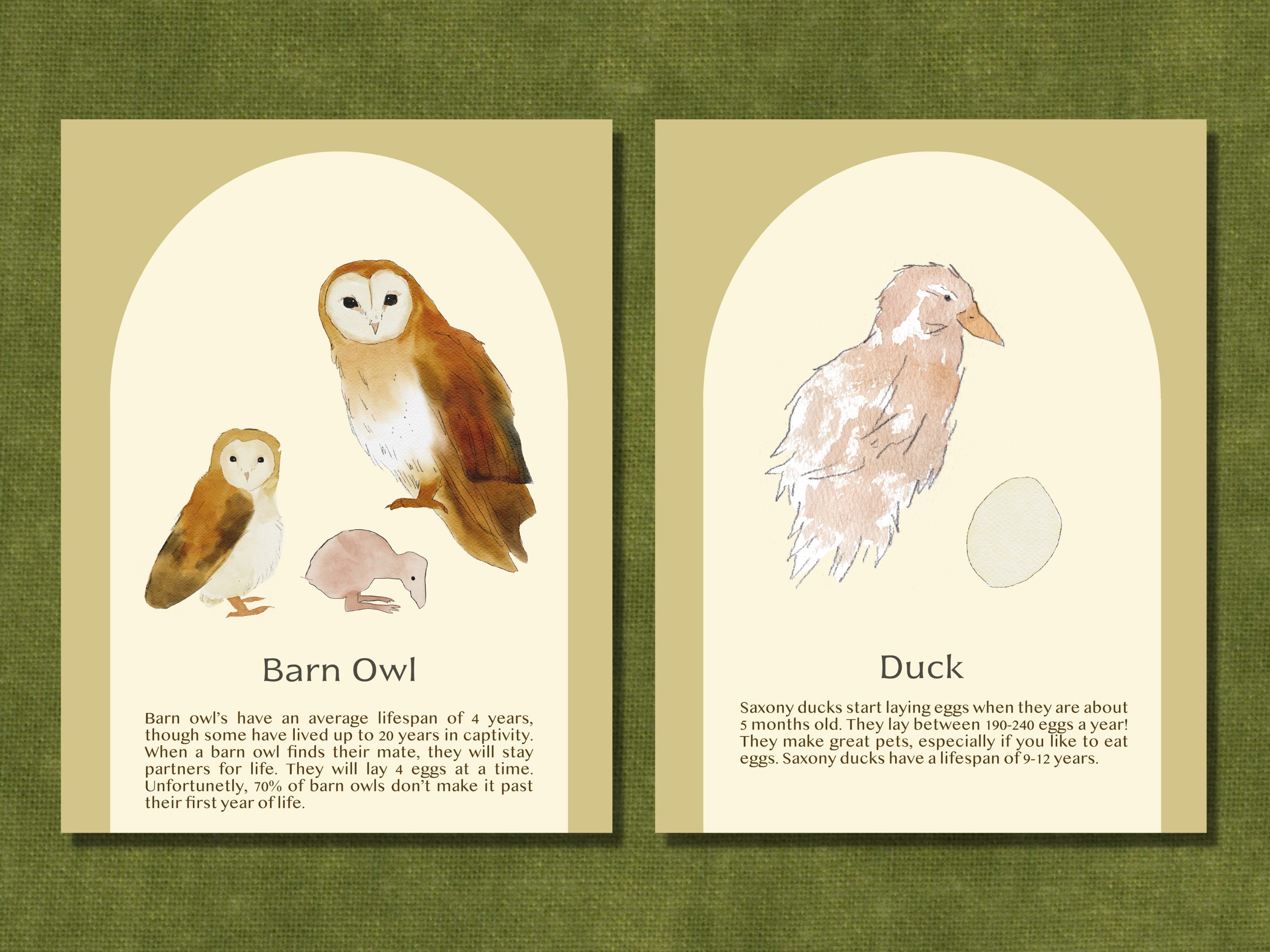 Animal Babies Flash Cards - Watercolor Illustrations - Forest Animals ...