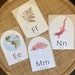 Nature Alphabet Flash Cards I Nature Homeschool Printables I ABC Cards ...