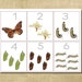 Number Practice - Counting and Tracing Numbers - Activities for ...