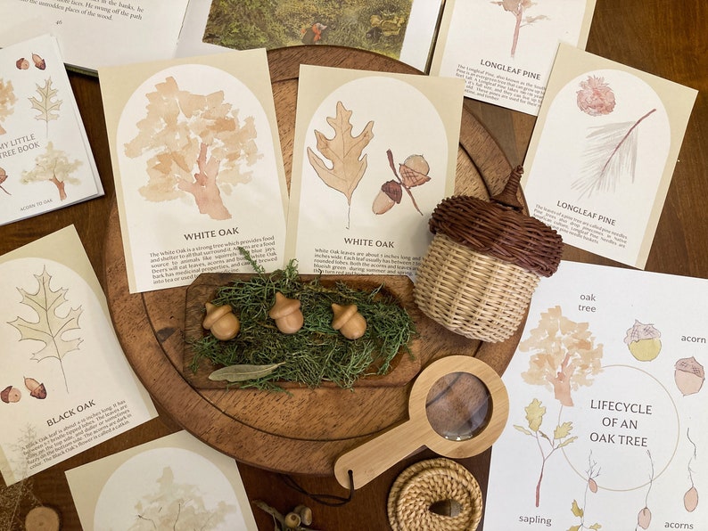 Tree Unit Study Bundle Nature Education Printable Tree - Etsy