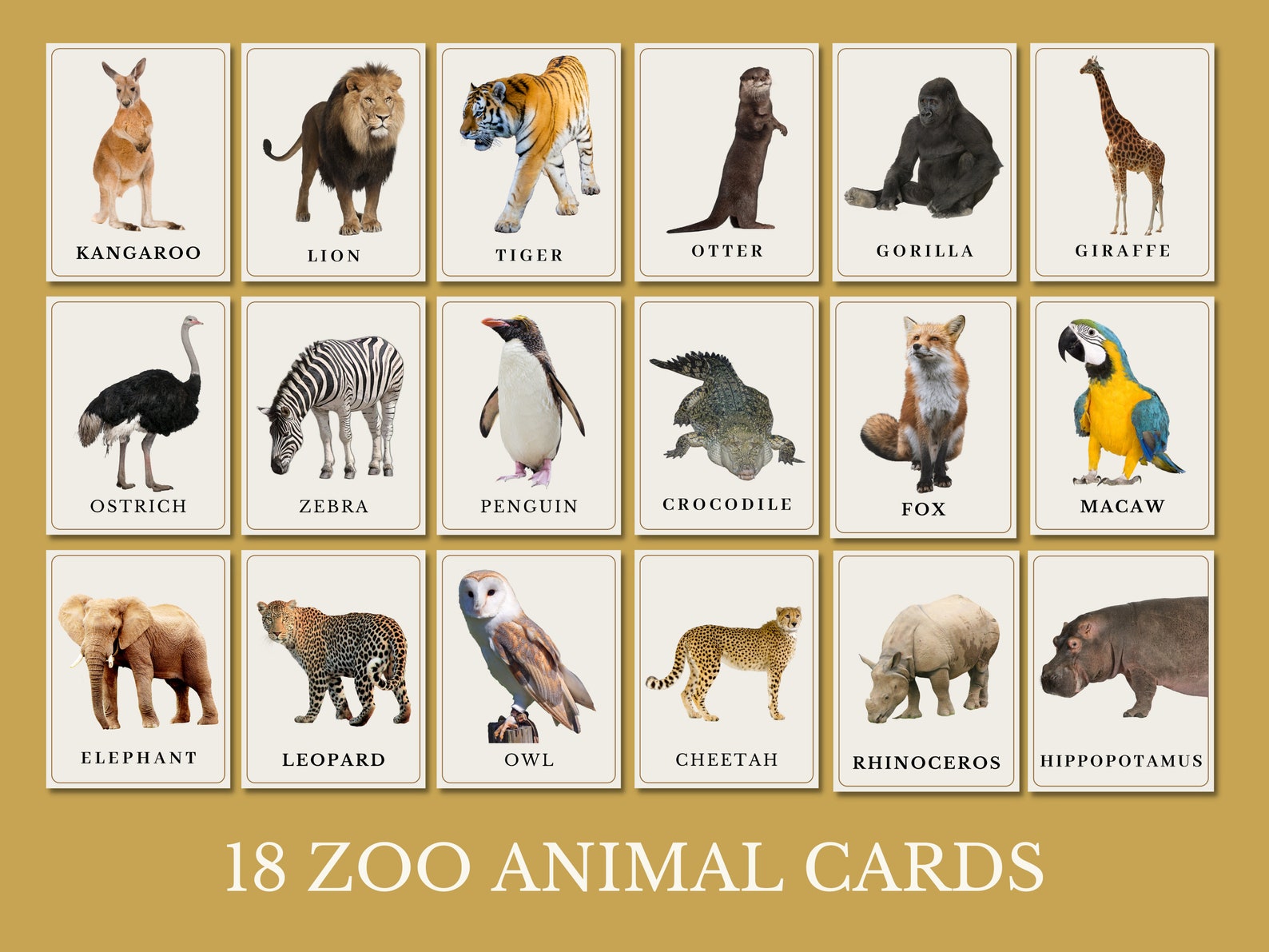 Zoo Animal Flash Cards - Zoology - Printable Homeschool - Zoo Field ...
