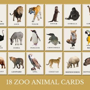 Zoo Animal Flash Cards - Zoology - Printable Homeschool - Zoo Field ...