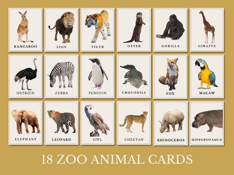 Zoo Animal Flash Cards - Zoology - Printable Homeschool - Zoo Field ...
