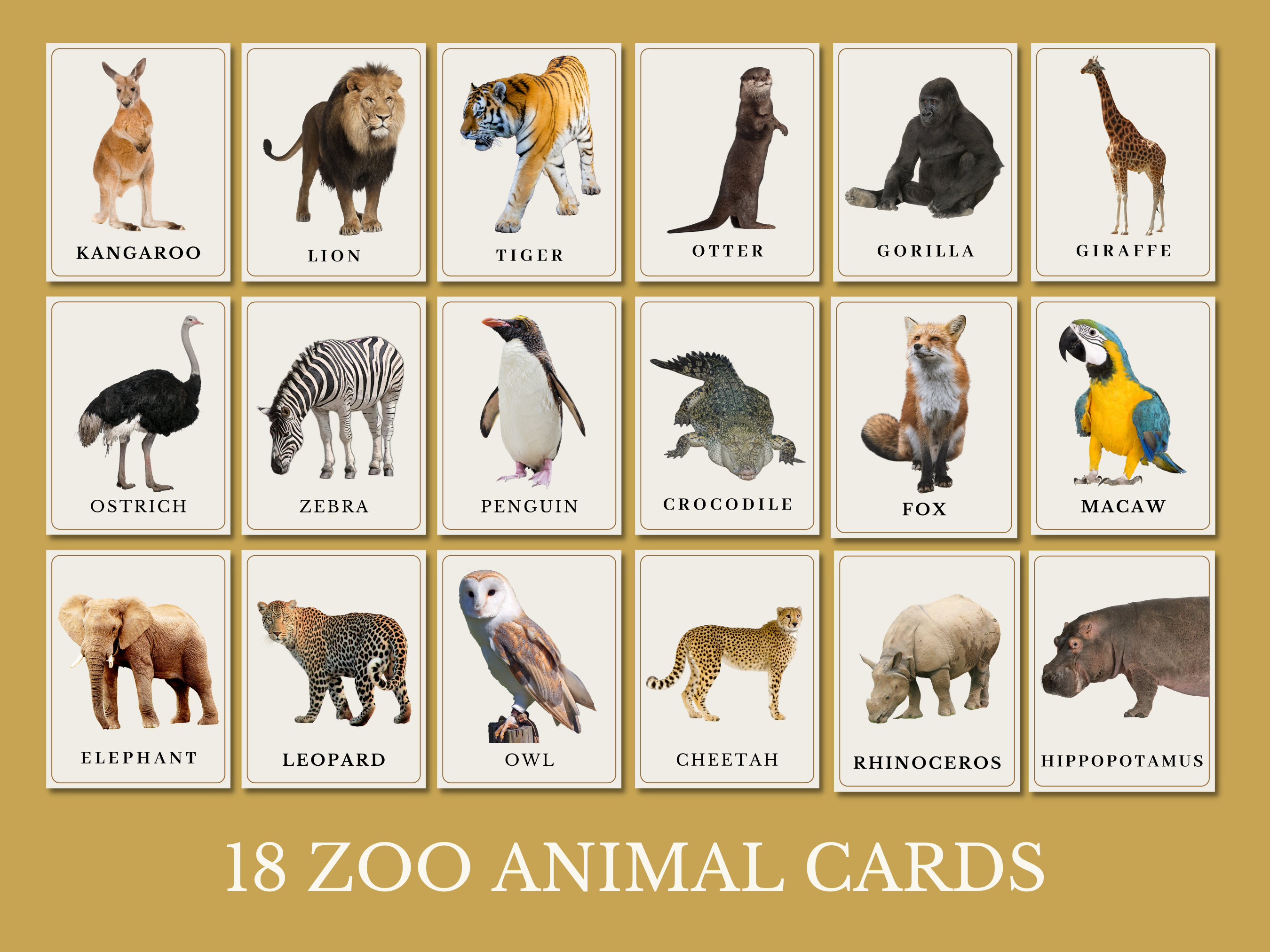 Zoo Animal Flash Cards - Zoology - Printable Homeschool - Zoo Field ...