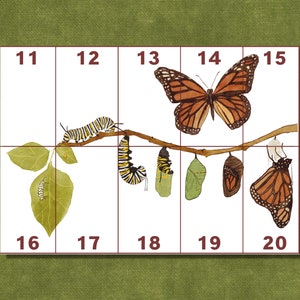 Butterfly Number Matching Activity - Nature Preschool Printables ...
