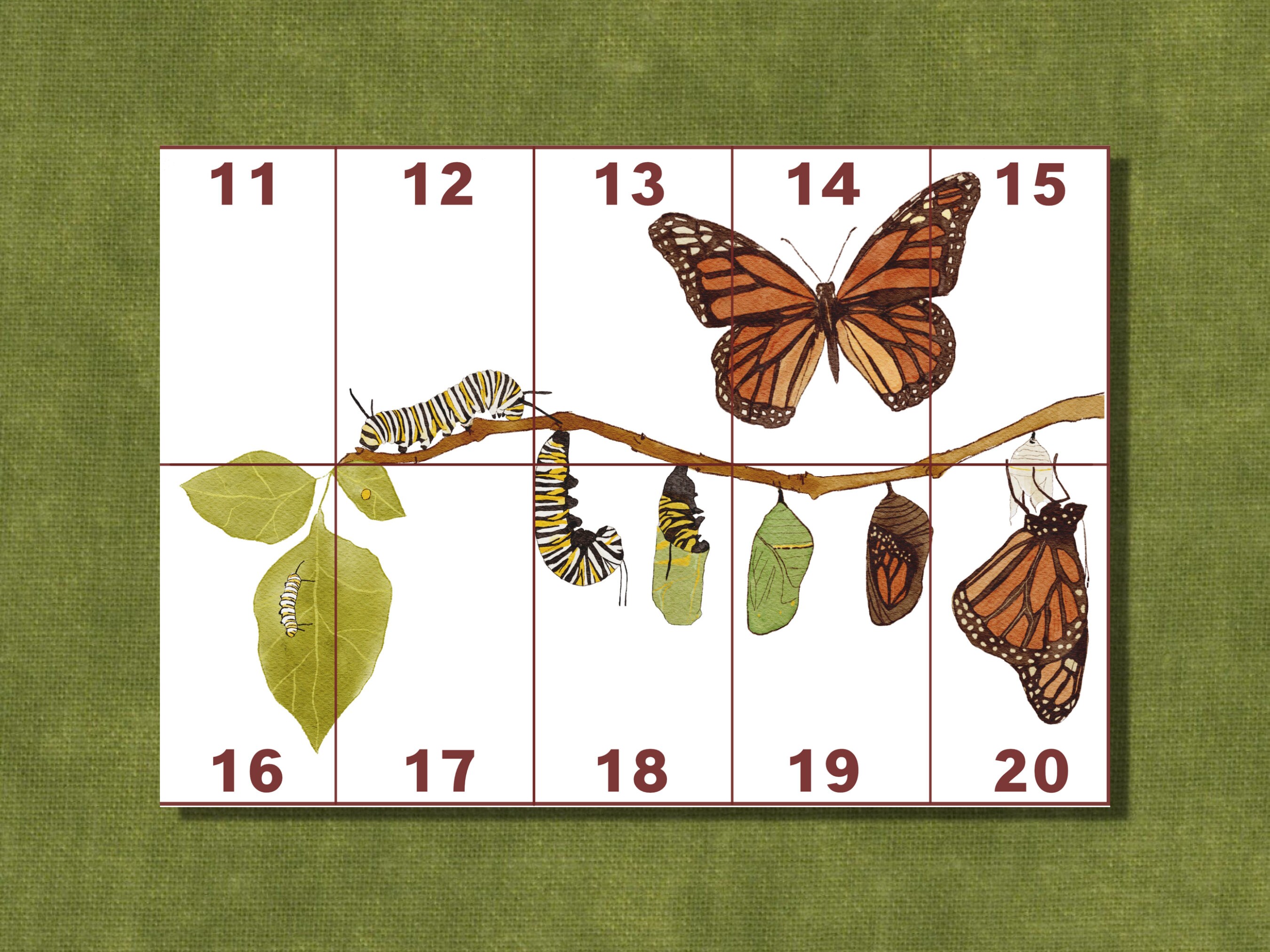 Butterfly Number Matching Activity - Nature Preschool Printables ...