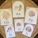 Nature Alphabet Bundle Preschool Literacy Nature Education Printable ...