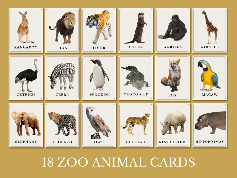 Zoo Animal Flash Cards Zoology Printable Homeschool Zoo - Etsy
