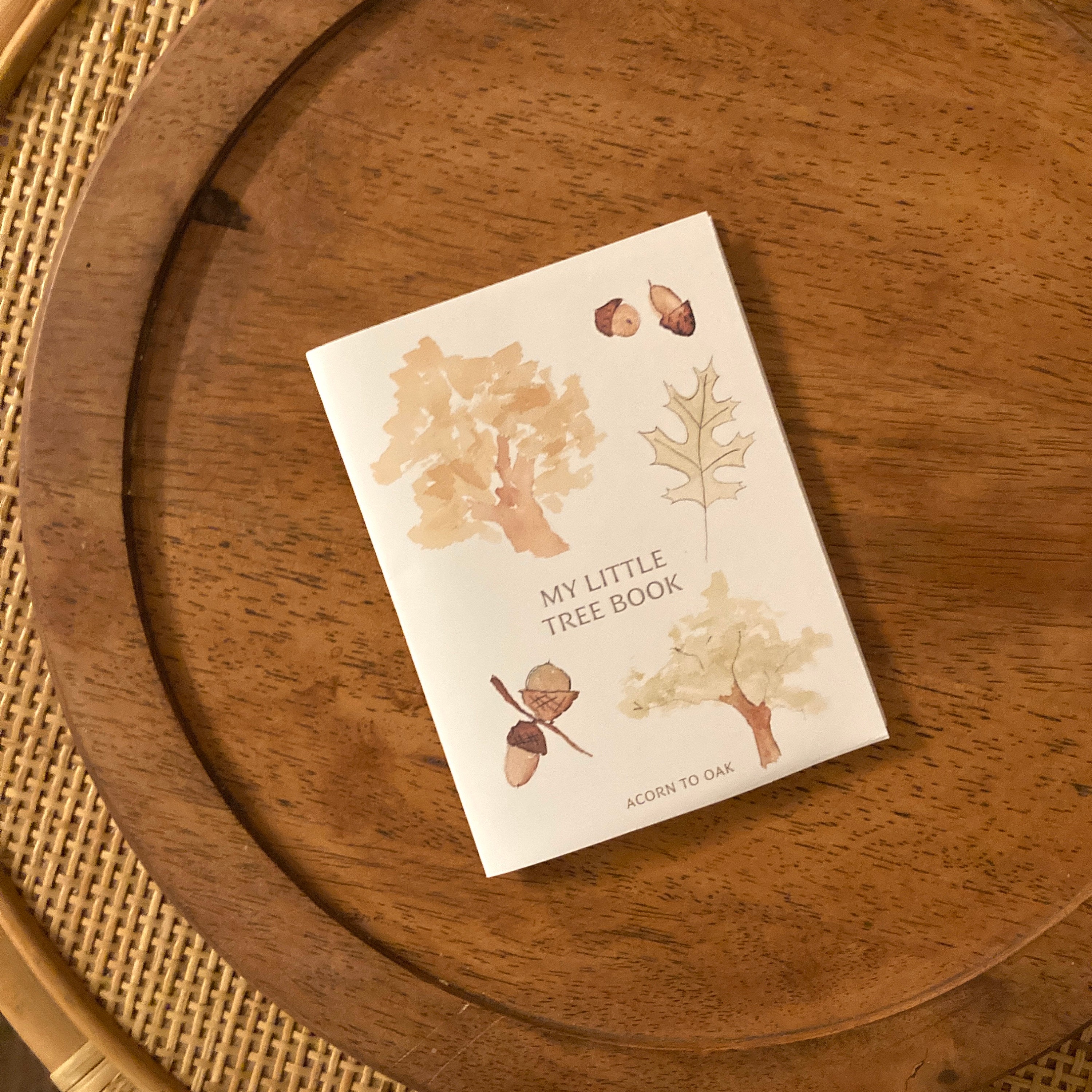 My Little Tree Book I Homeschool Printable for Nature Study I Nature ...