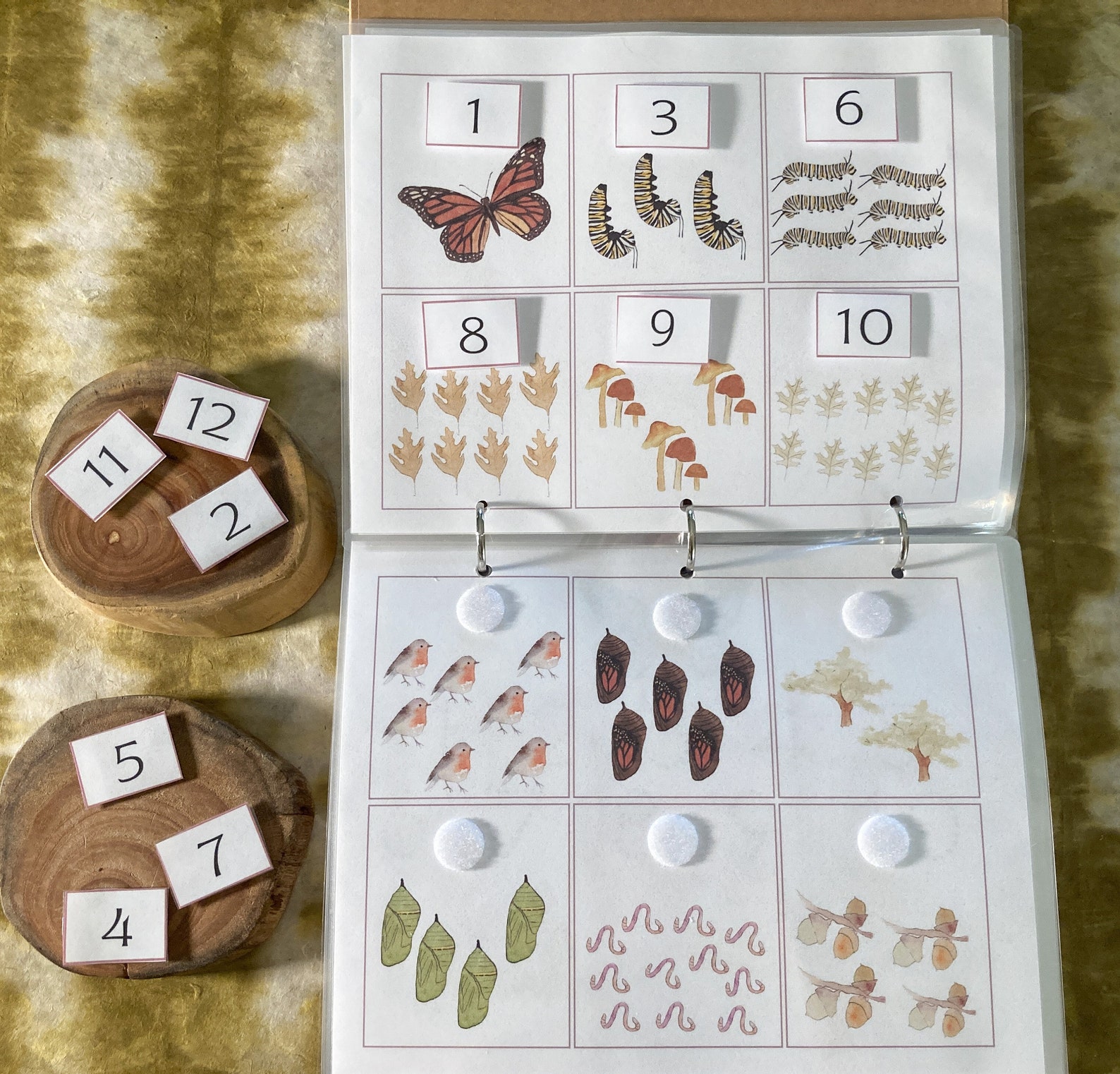 Math Busy Book Spring Preschool Nature Based Curriculum - Etsy Canada