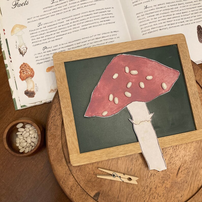Mushroom Play Dough Mat Printable Nature Educational - Etsy