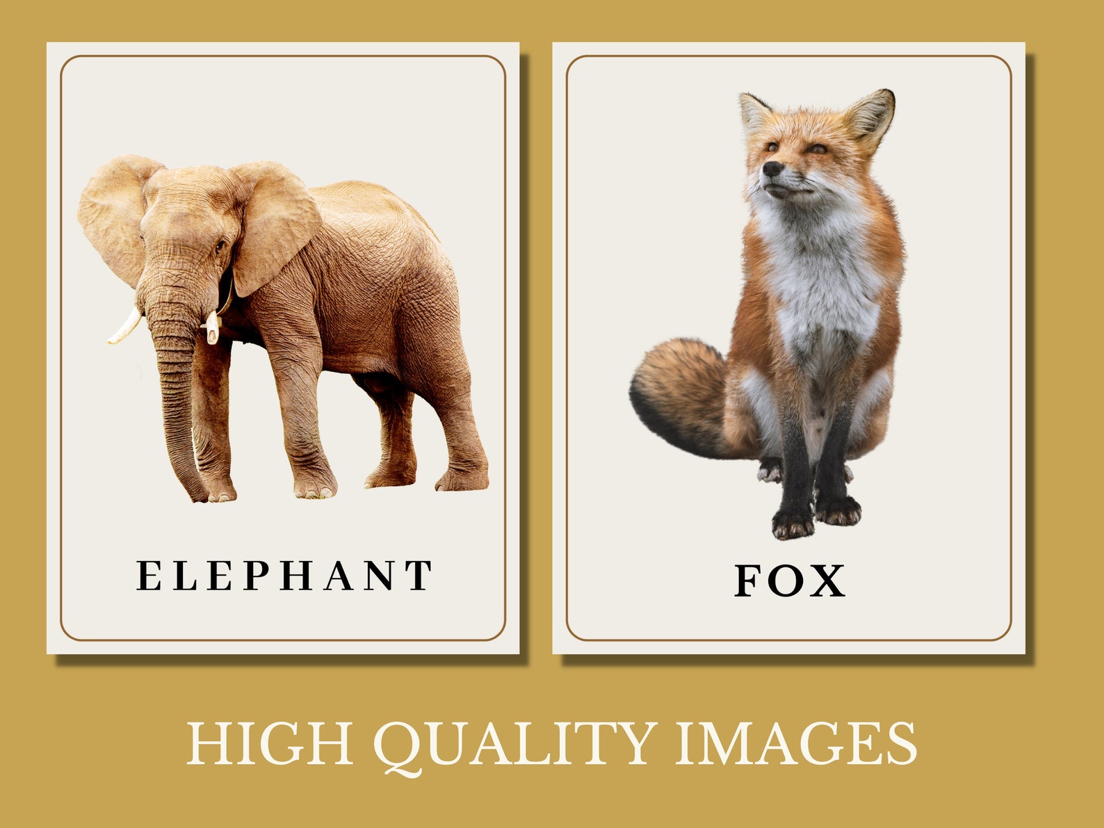 Zoo Animal Flash Cards - Zoology - Printable Homeschool - Zoo Field ...