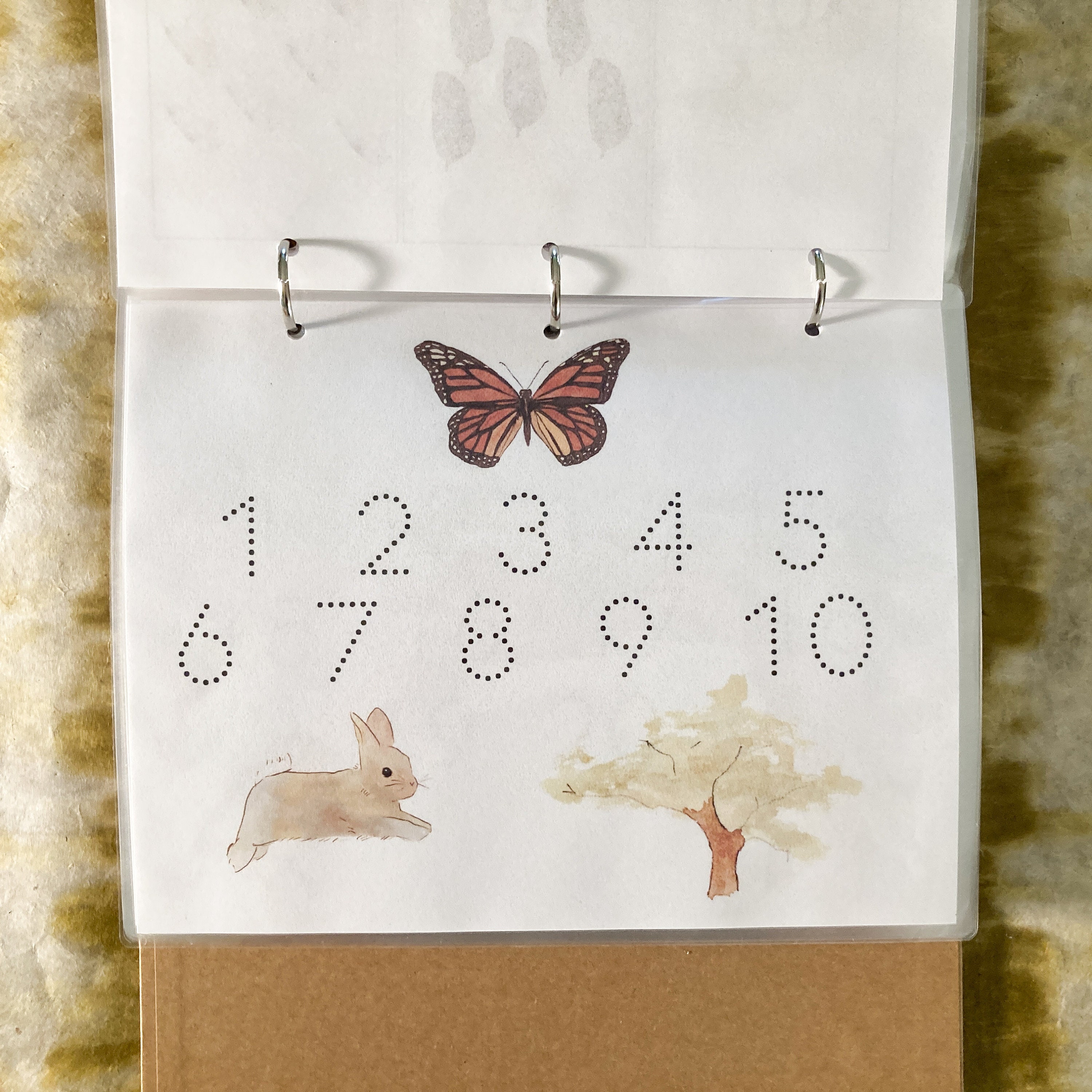 Math Busy Book Spring Preschool Nature Based Curriculum - Etsy